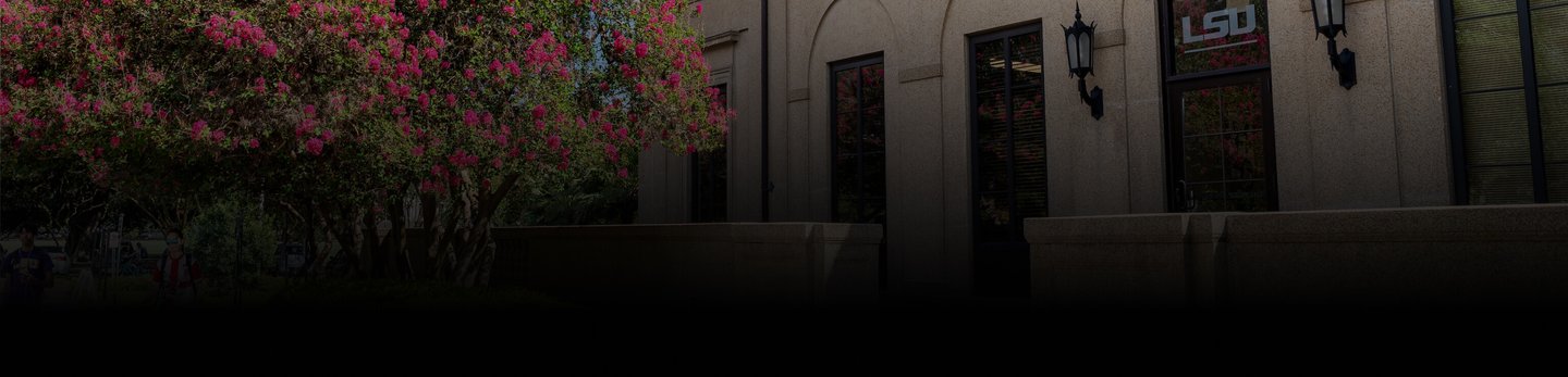 Contact Us | LSU Online